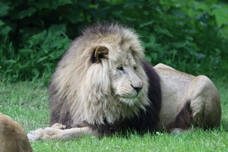 Review: Staying at Longleat Safari Park’s Deer Keeper’s House