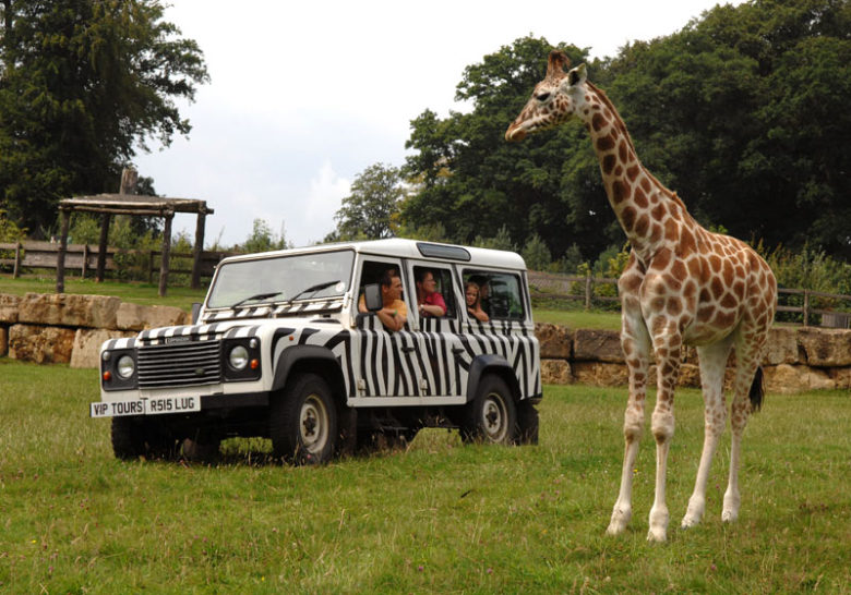 Review: Staying at Longleat Safari Park’s Deer Keeper’s House