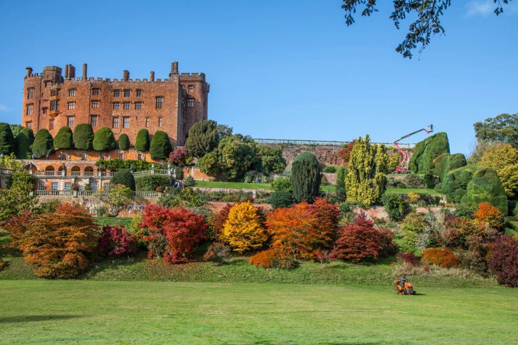 Gigantic hedges get annual trim at Powis Castle and Garden