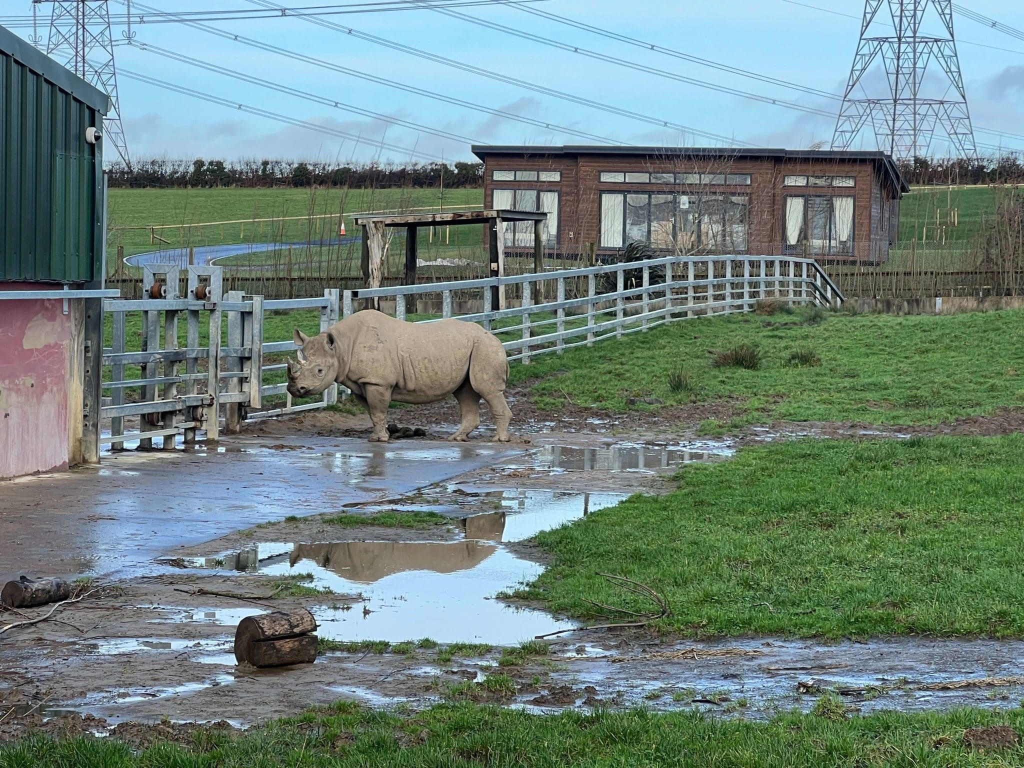 Review: Luxury lodges accommodation at Folly Farm, Pembrokeshire