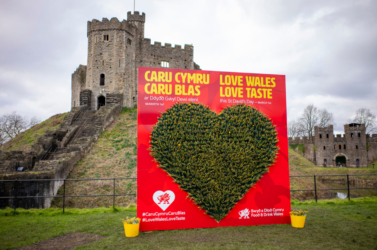 Heart-shaped daffodil display pops up at Cardiff Castle