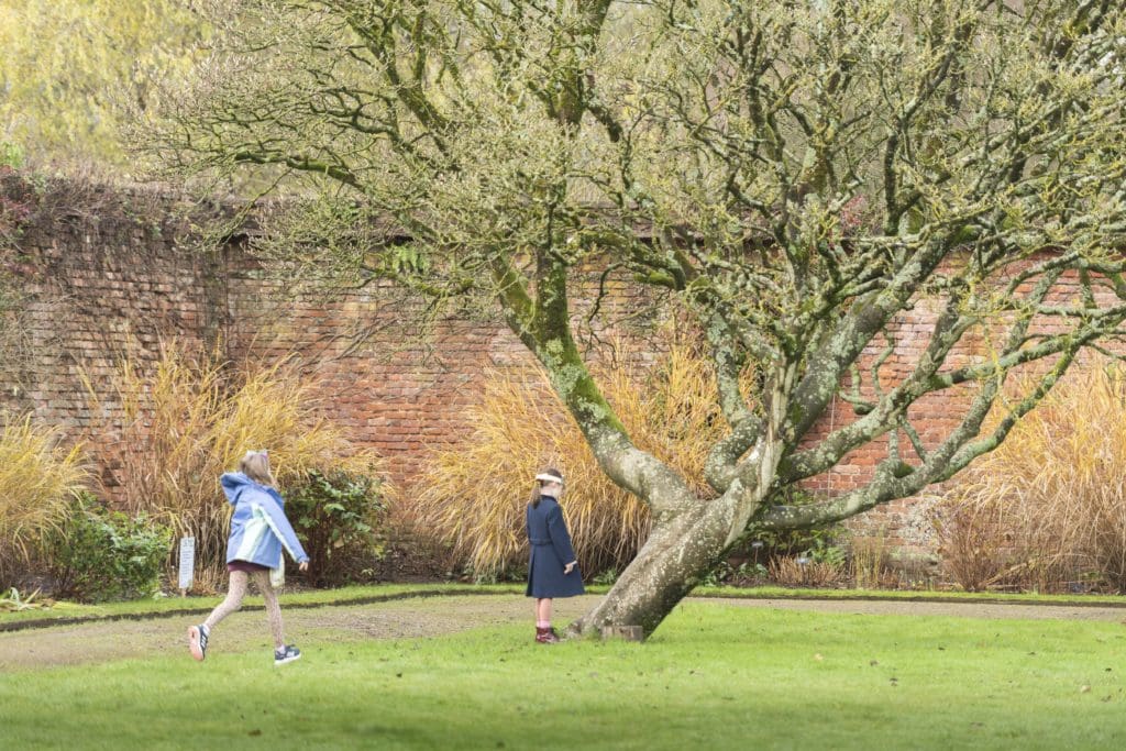 February family fun this half term with National Trust Cymru