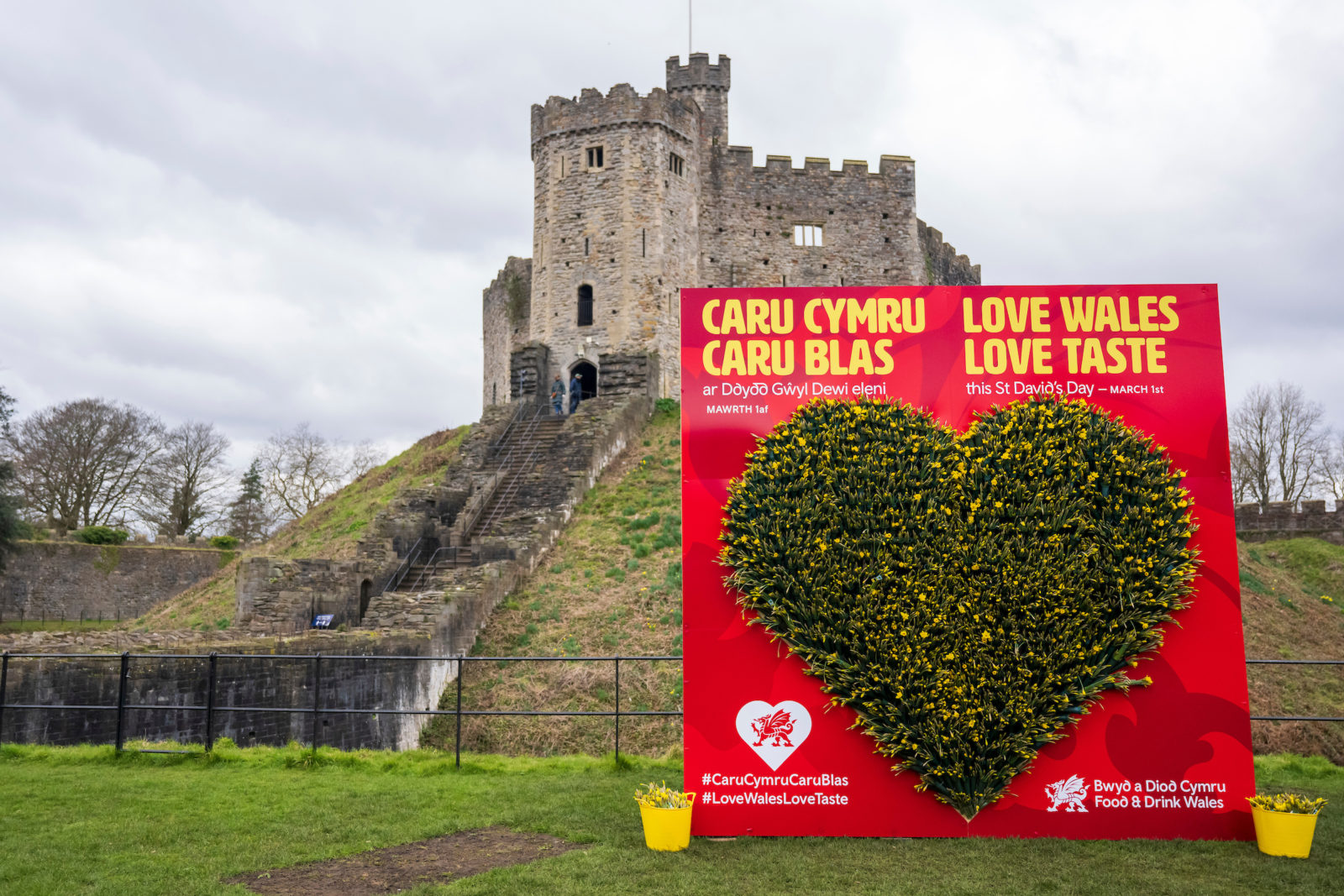 12,000 Welsh daffodils used to create heart-shaped sculpture in Cardiff ...