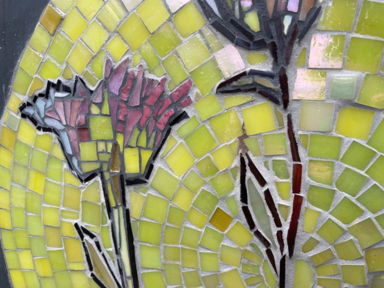 New nature campaign launched in green spaces across Gwent