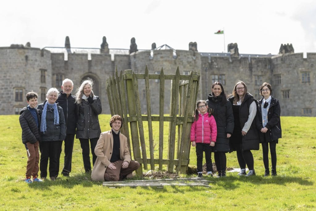 One of the world’s largest and oldest oak trees returns to Chirk