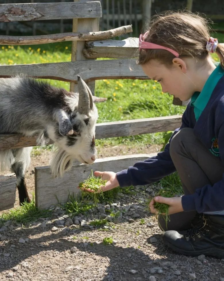 Fonmon Castle and dino park reopen with new attractions
