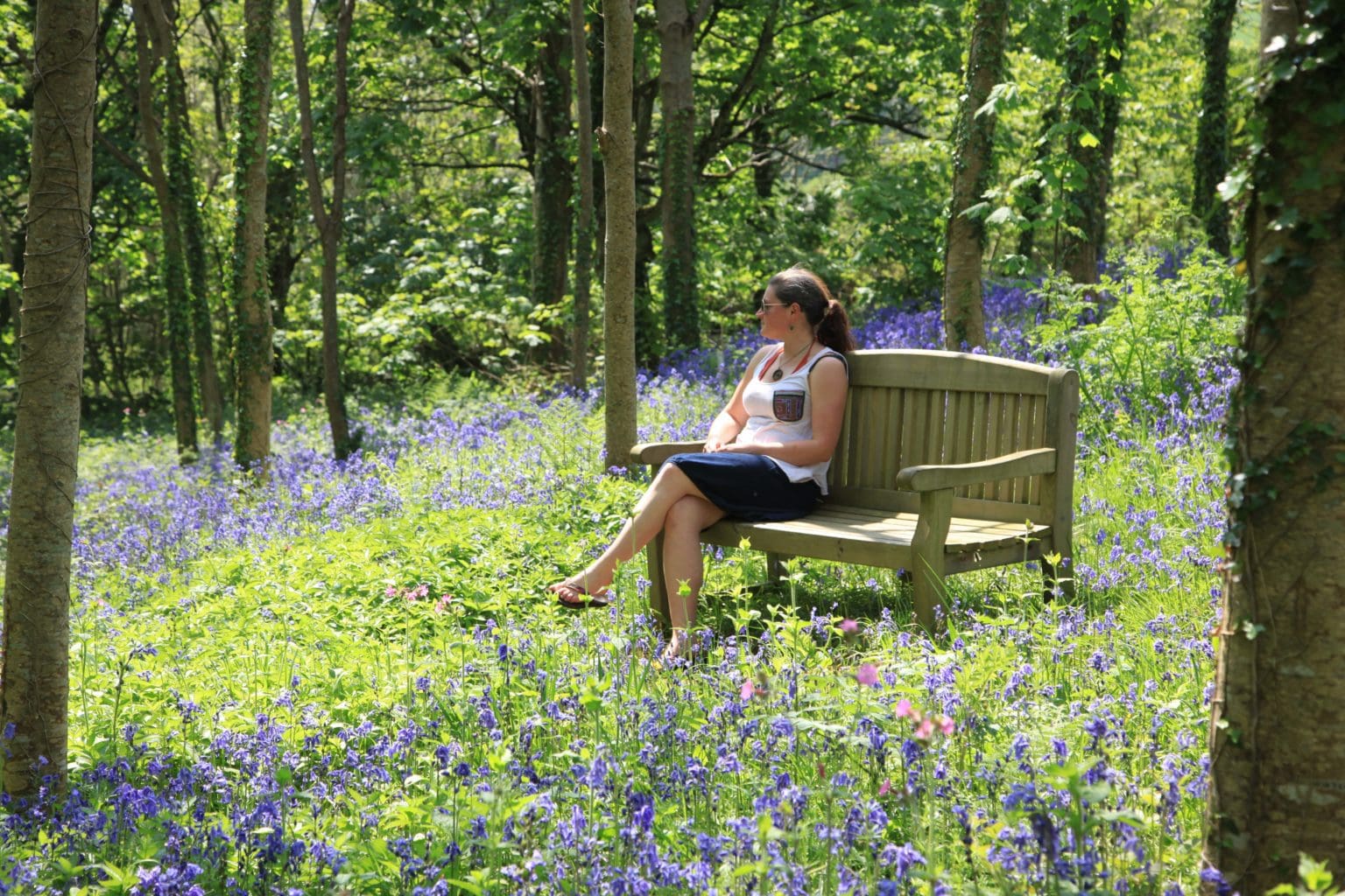 May best spots for bluebells and blossom shared by National Trust Cymru