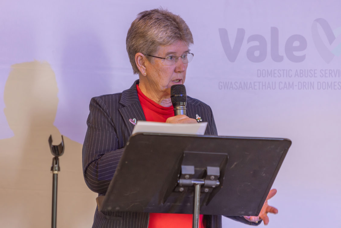 Charity launches five-year strategy to help break the cycle of domestic ...