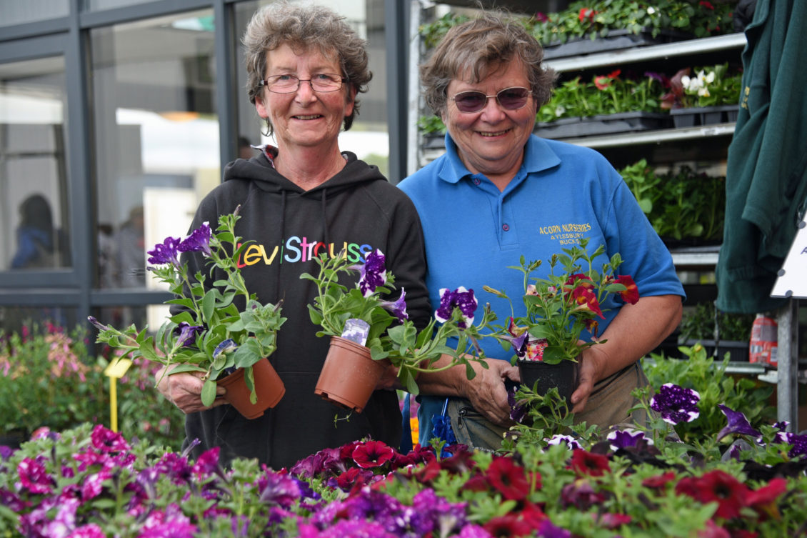 Royal Welsh family favourite Smallholding and Countryside Festival returns