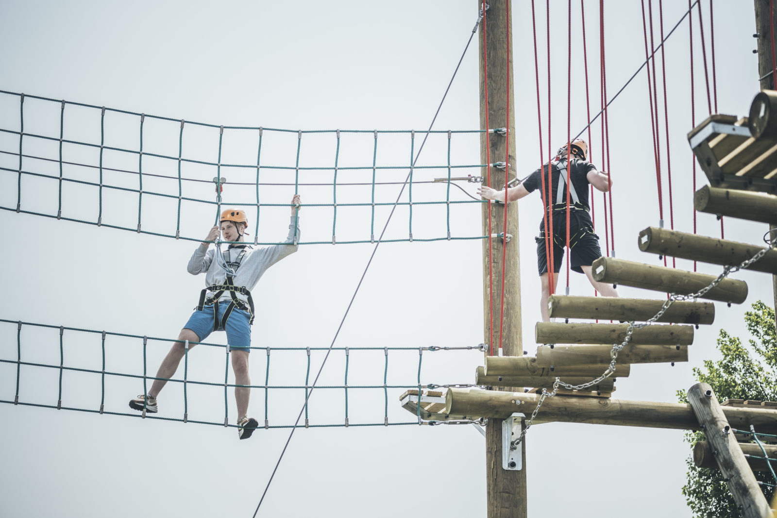 Holiday park to unveil high ropes course as bosses await green light ...
