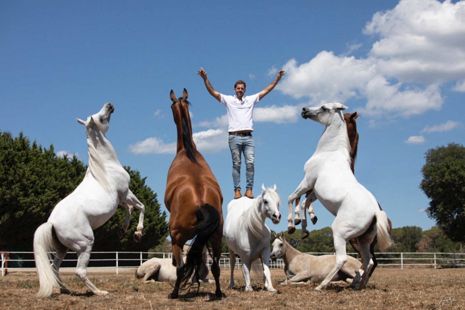 Royal Welsh Show returns with action-packed programme