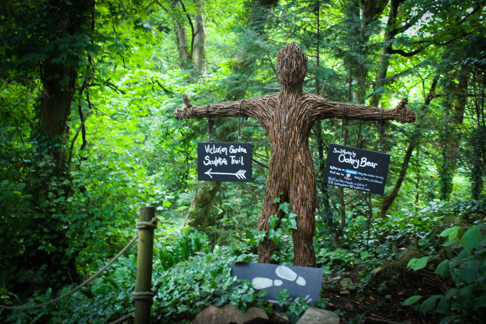 Restoration brings wildlife and visitors back to Fonmon’s lost ...