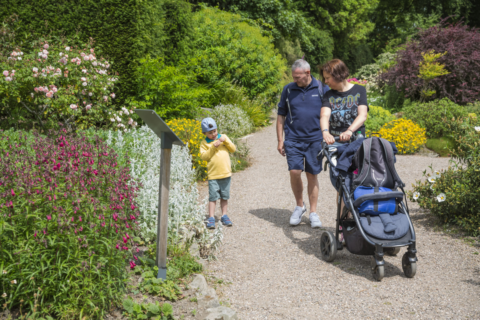 13 short walks in Wales that you can access with a pram or wheelchair