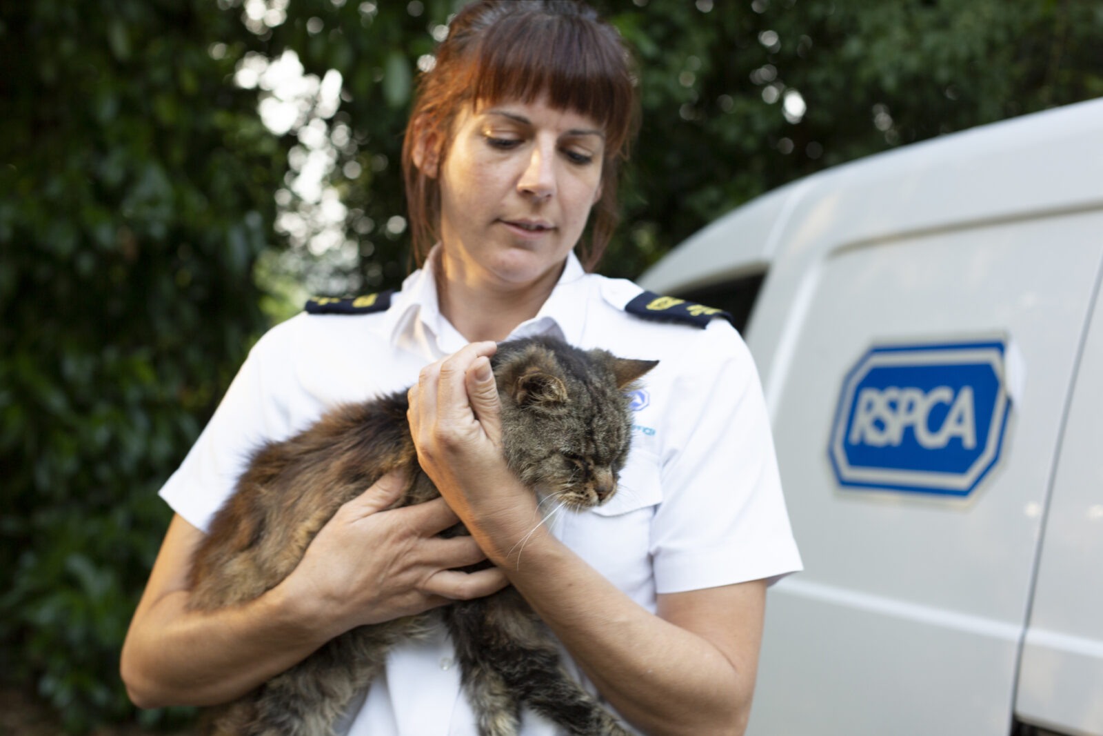 South Wales pets ‘kept in loving homes’ thanks to Purina x RSPCA ...