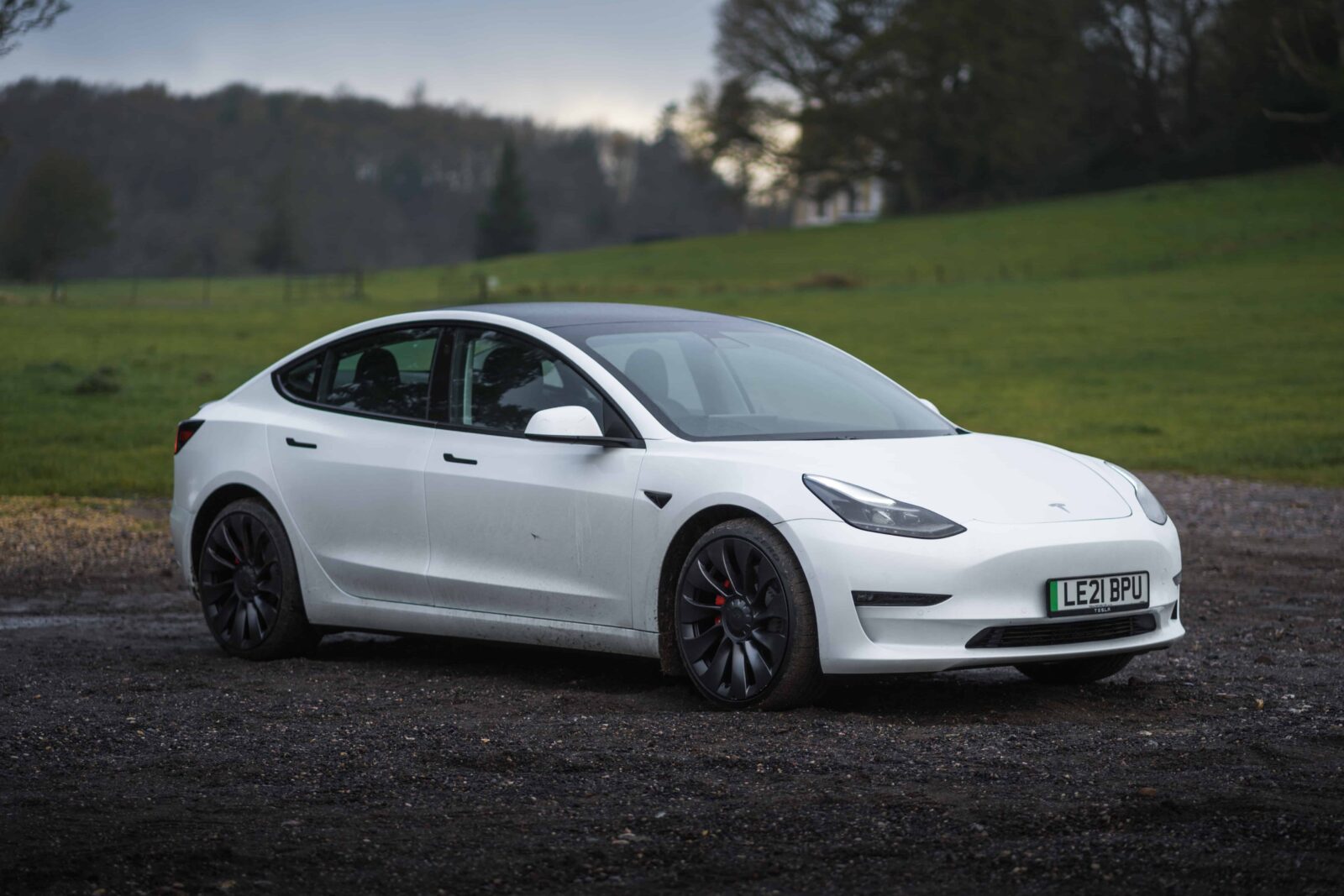 Meet the fresh competition vying for Tesla's EV crown