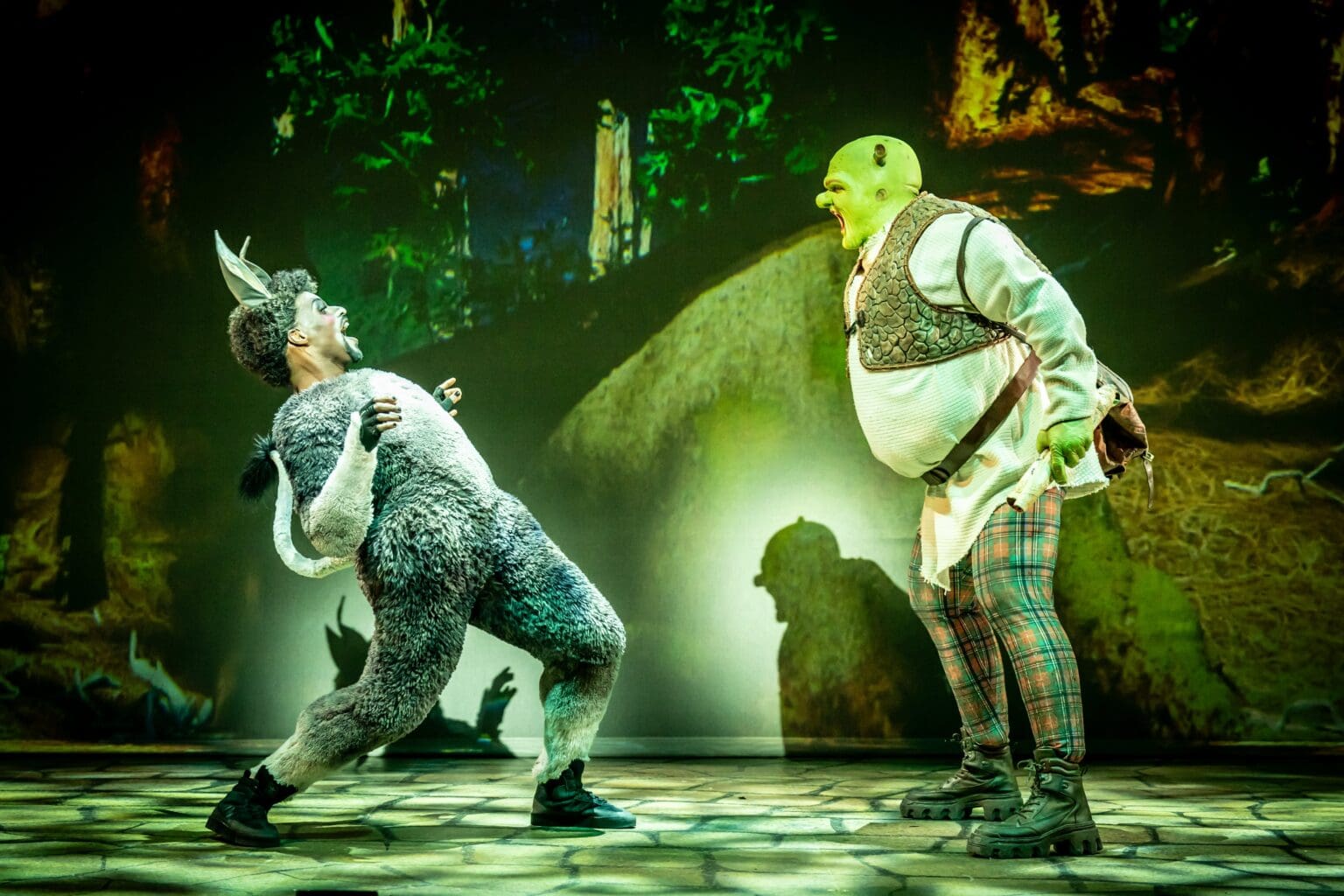 Review: Shrek the Musical, Wales Millennium Centre