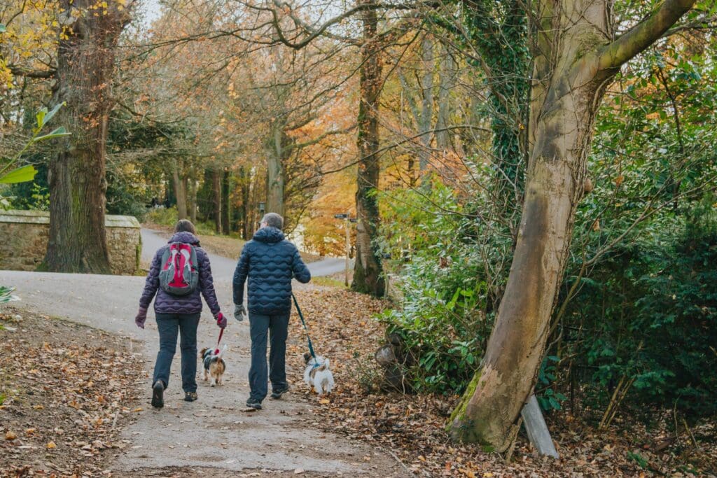 Top 6 winter walks in Wales