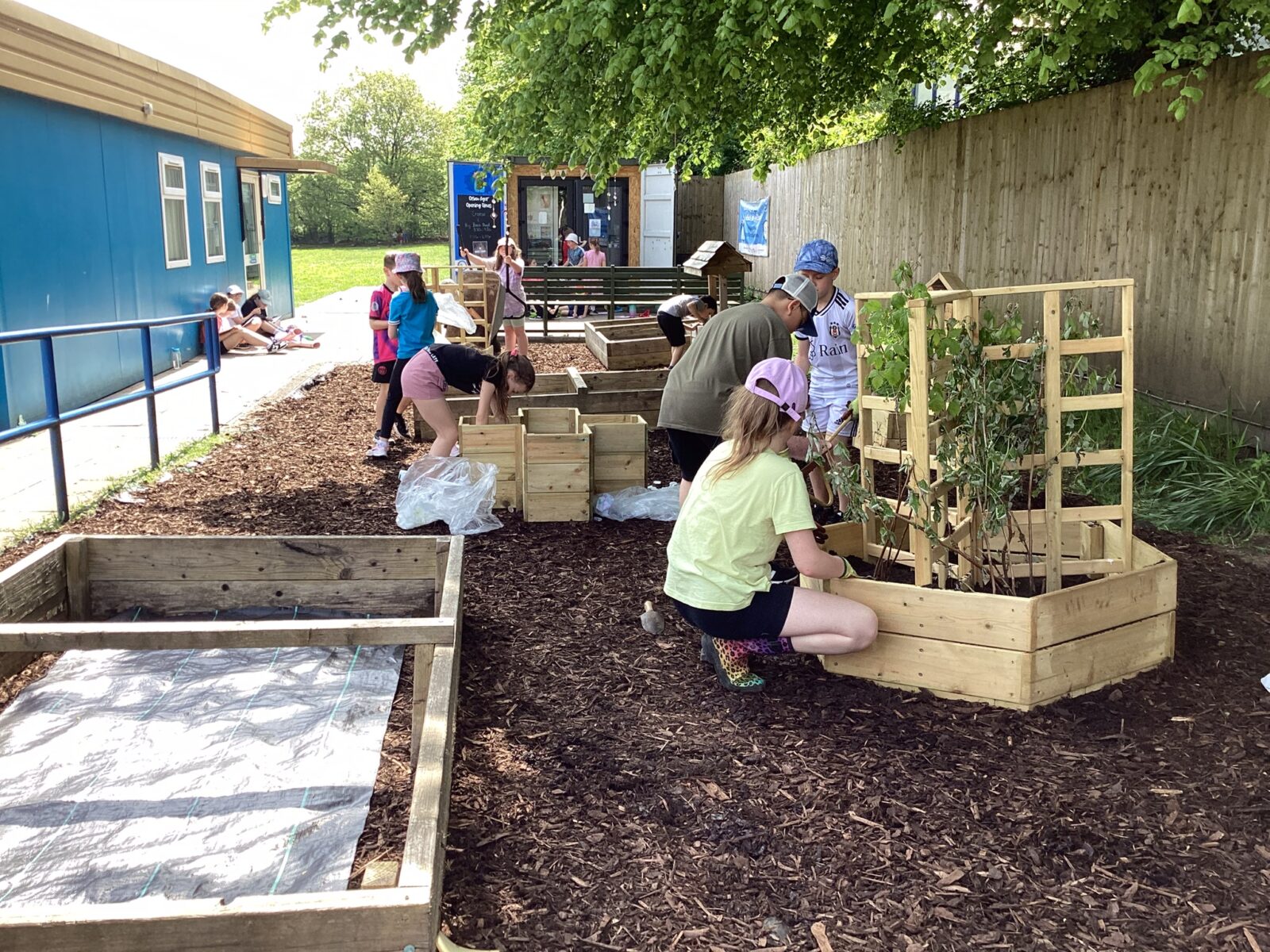Cwmfelin Primary School’s community food scheme grows from strength to ...
