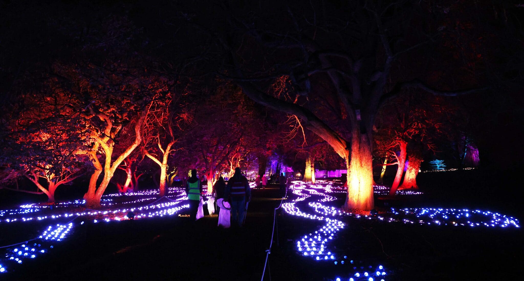 Christmas at Bute Park: Cardiff’s festive light show returns for 2024