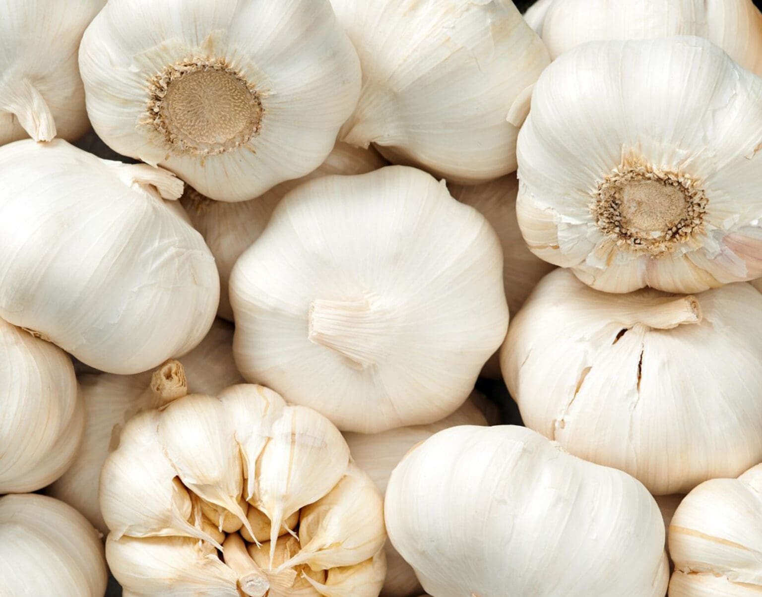 Beacon Foods expands to meet garlic demand