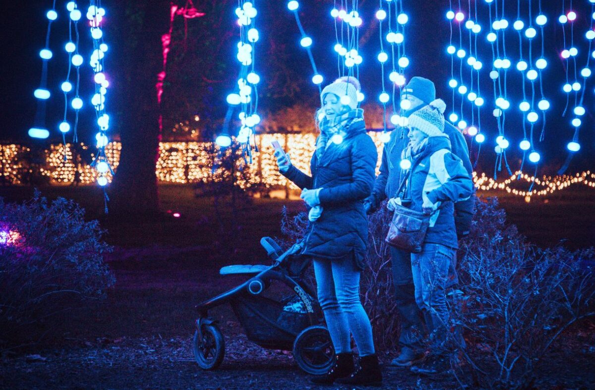 Luminate light trail returns to Margam Country Park with stunning new ...