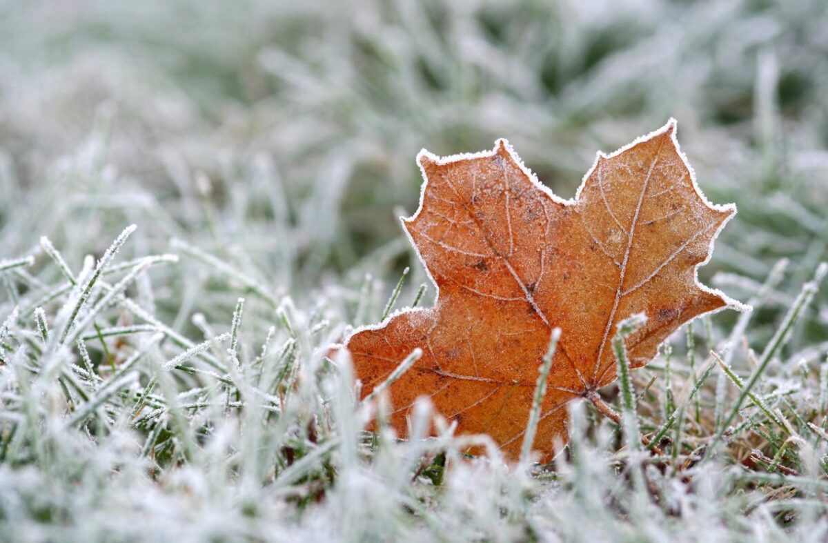Colder weather on the way for Wales this week with wintry showers