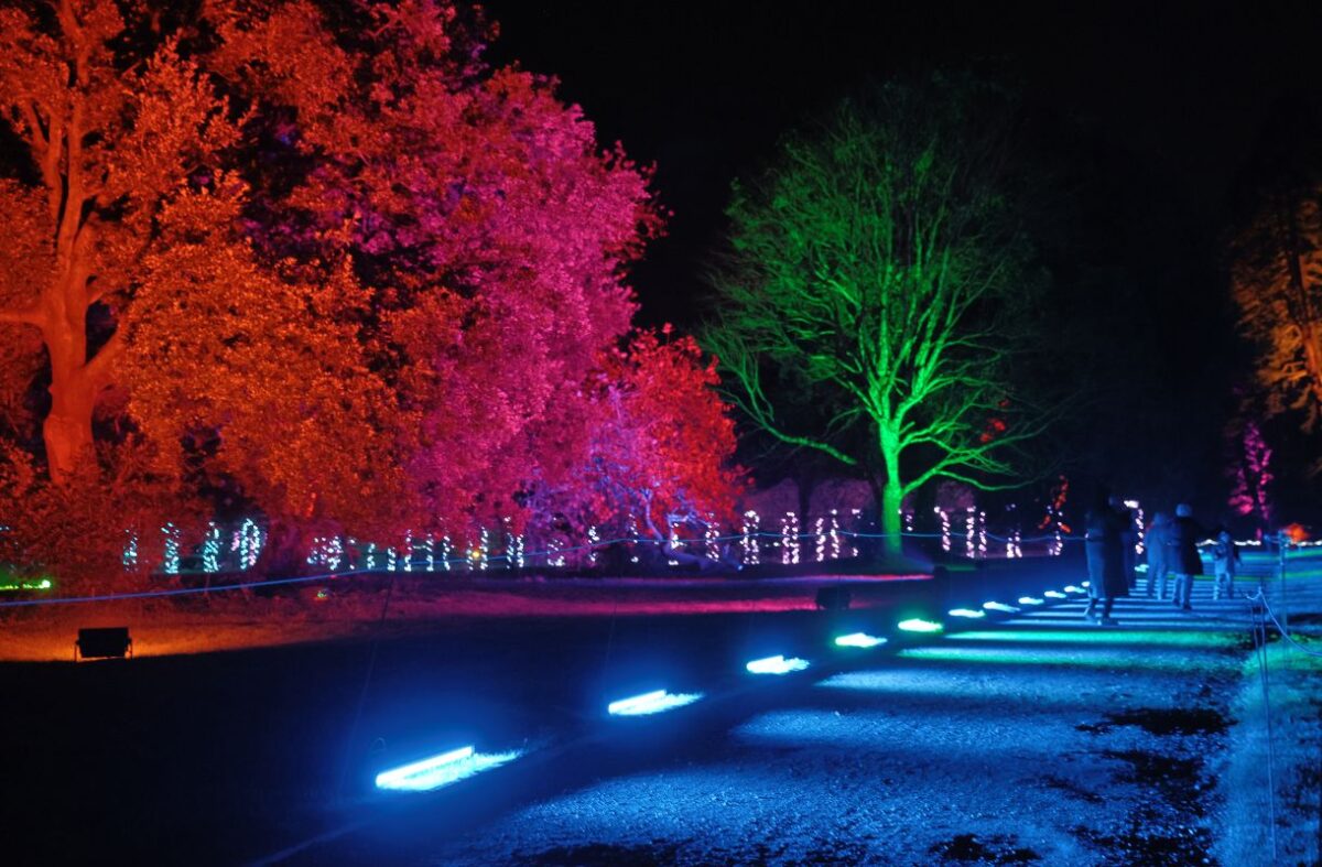 Luminate transforms Margam Country Park into a winter wonderland