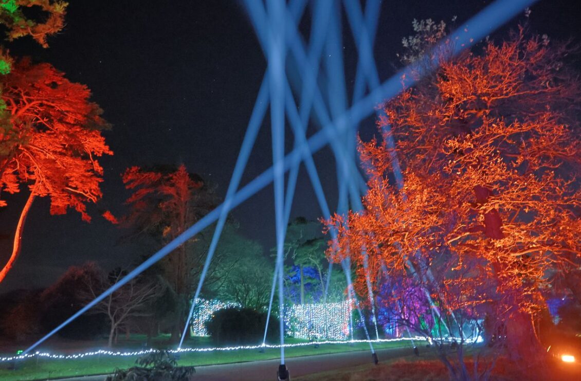 Luminate transforms Margam Country Park into a winter wonderland