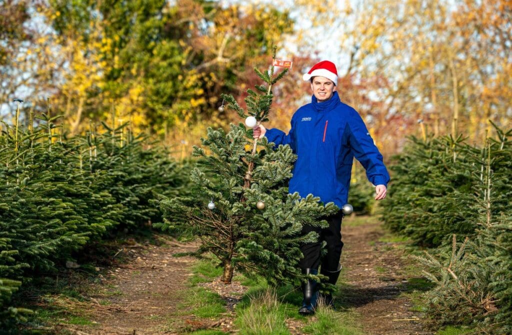 Tesco giving away free wonky Christmas trees at Cardiff store