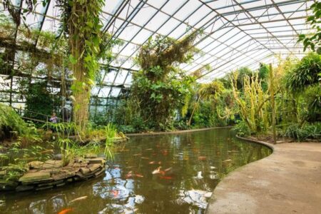 Roath Park Conservatory closes during extreme heat warning
